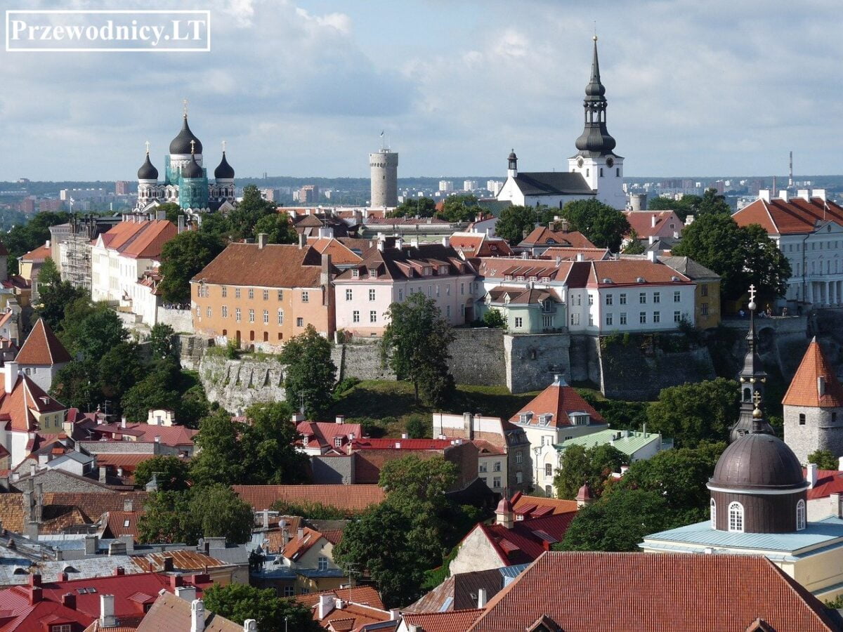 Przewodnik po Tallinie, zwiedzanie wspólnie i prywatnie